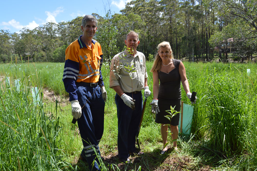 12,000 new trees for the Redlands - Redlands Coast Today