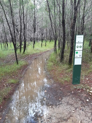 Please avoid riding and walking on wet tracks through our bushland ...