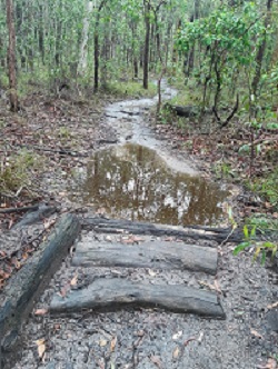 Please avoid riding and walking on wet tracks through our bushland ...