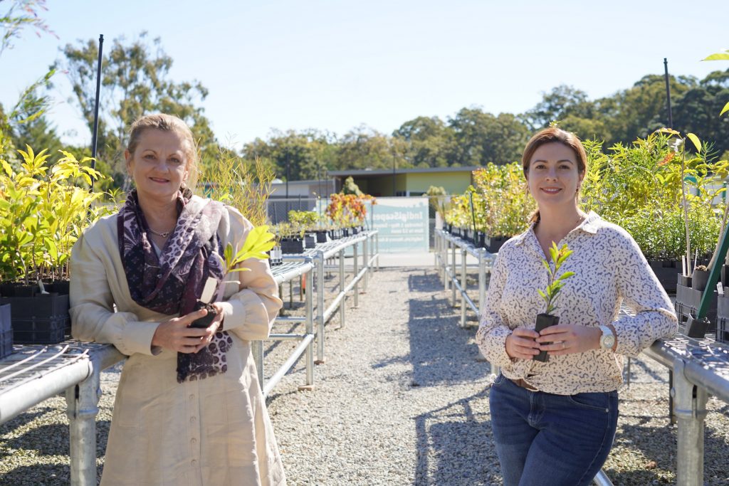 Council provides 2920 native plants for National Tree Day - Redlands ...