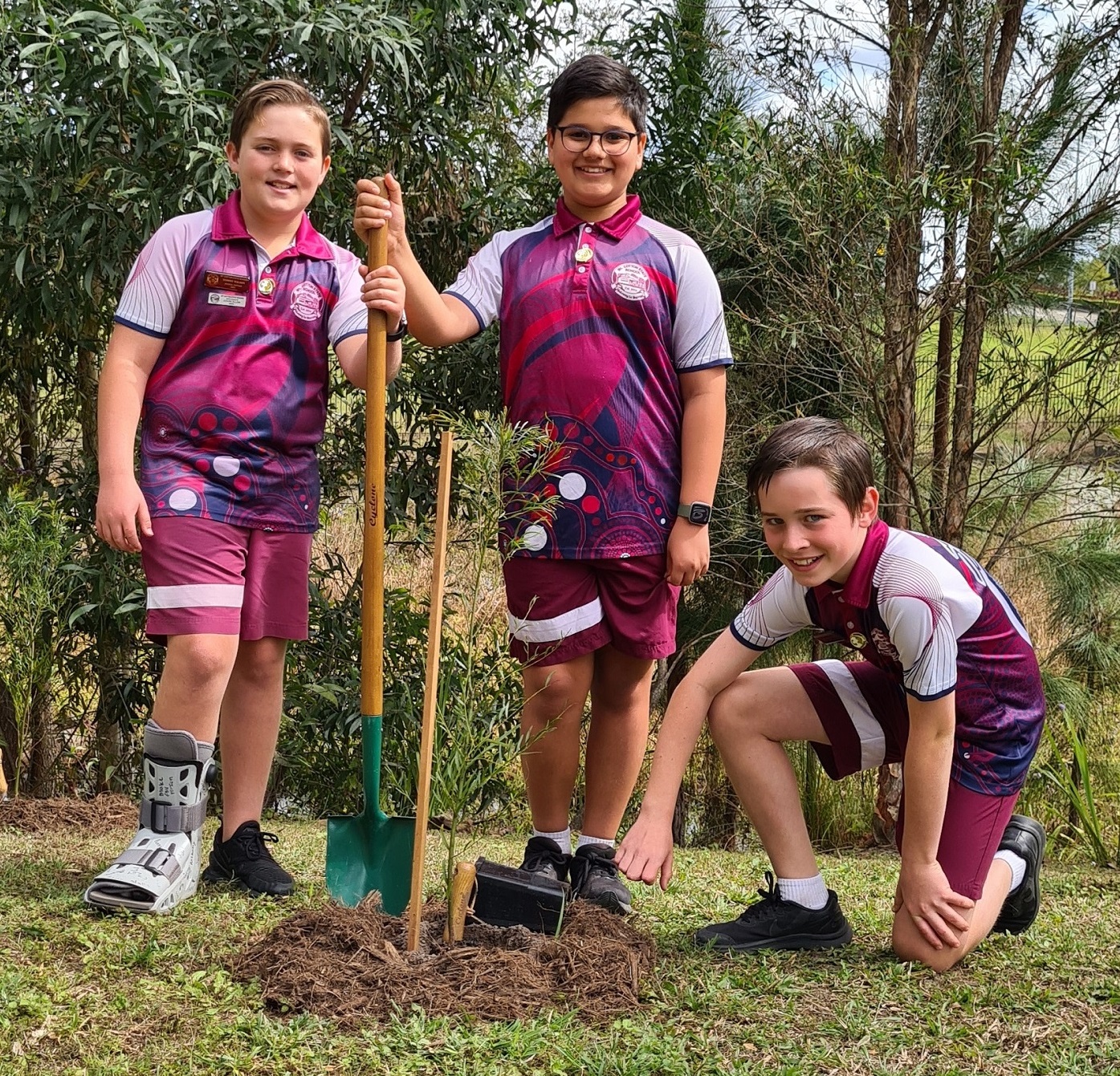 Events celebrate the wattle on Redlands Coast - Redlands Coast Today
