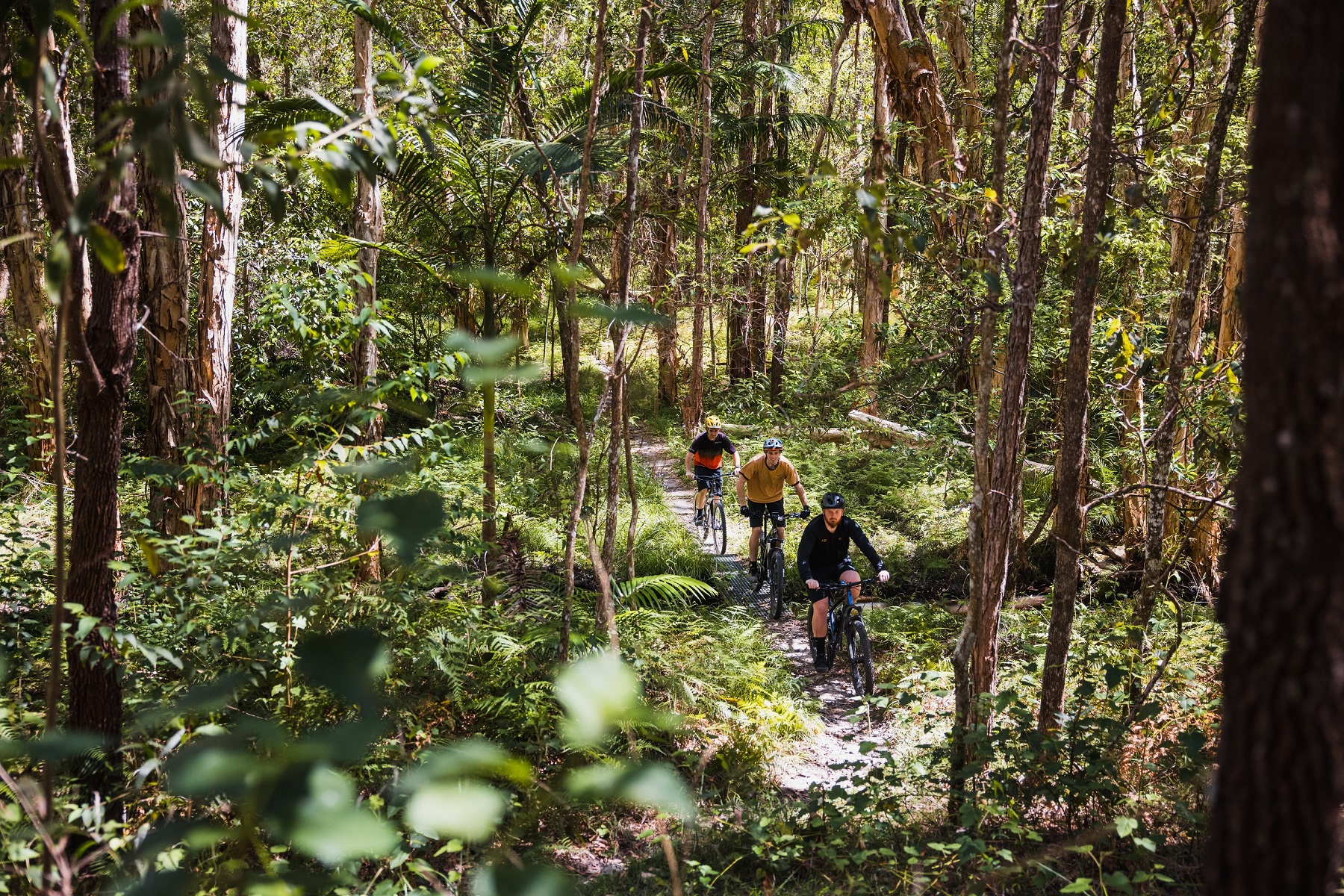 Take it easy on reopened tracks and trails - Redlands Coast Today