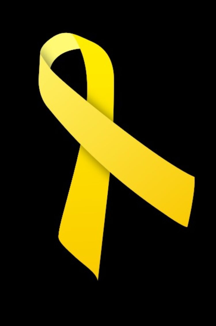 Volunteers at the heart of city’s rural fire brigades - Redlands Coast ...