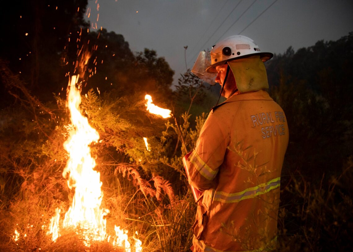 Waste - what to do with your bins - Redlands Coast Today
